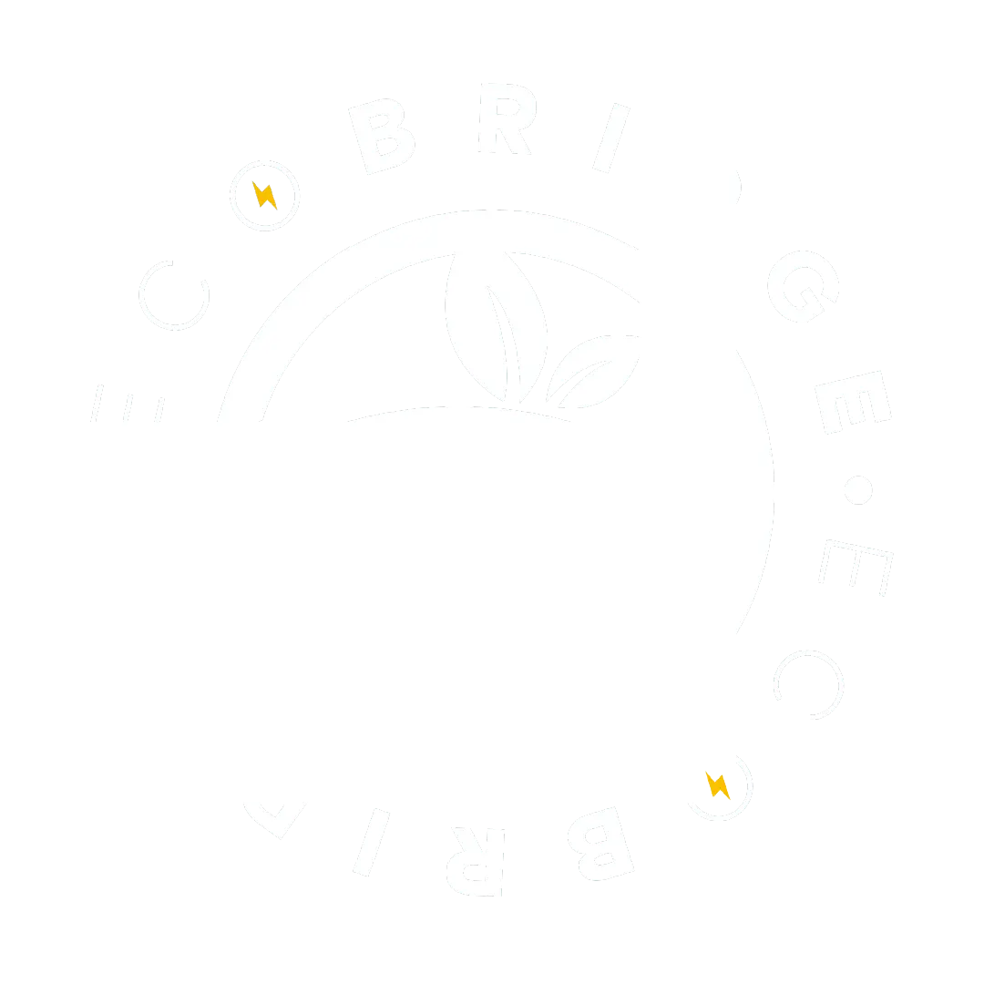 Bienvenida Eco Bridge - Eco Bridge